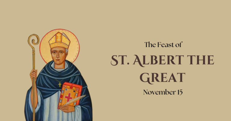 The Feast of Saint Albert the Great – Benedictine Sisters of Mount St ...